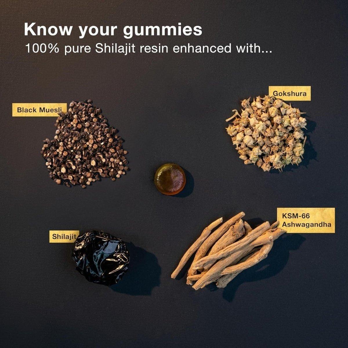 Be Bodywise Pure Himalayan Shilajit Gummies Gold – 60 Count | Strength ...