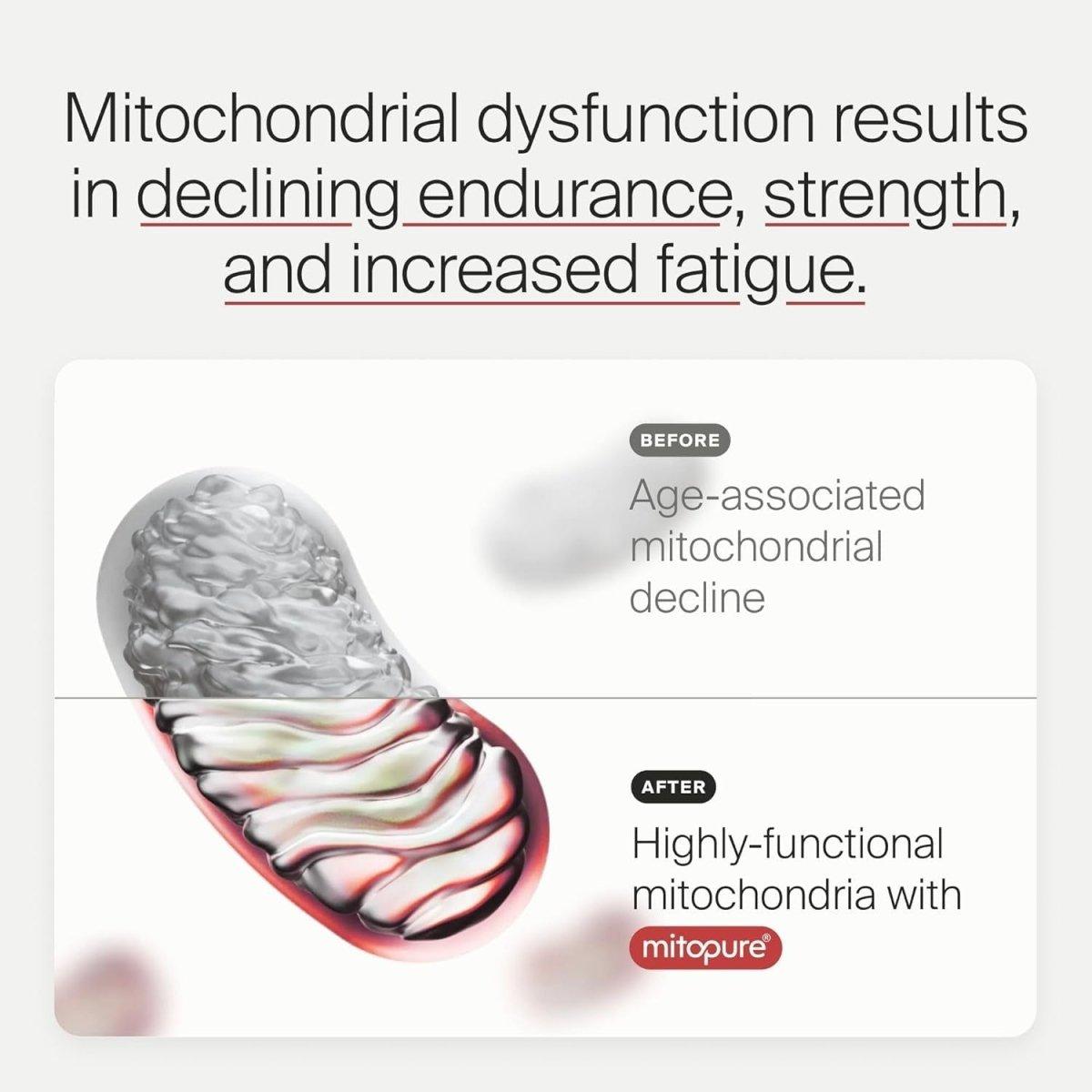 Timeline Mitopure Urolithin A - Clinically Proven Supplement for ...